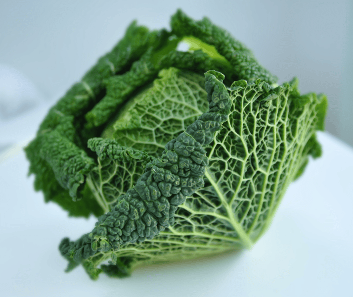 The Power of Green Antioxidants for Reducing the Risk of Breast Cancer
